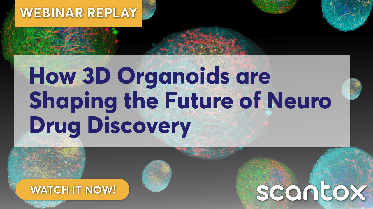 [Webinar Replay] How 3D Organoids Are Shaping the Future of Neuro Drug ...